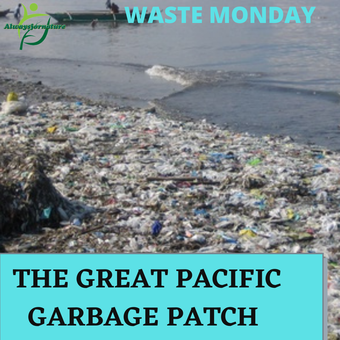 The Great Pacific Garbage Patch – Alwaysfornature